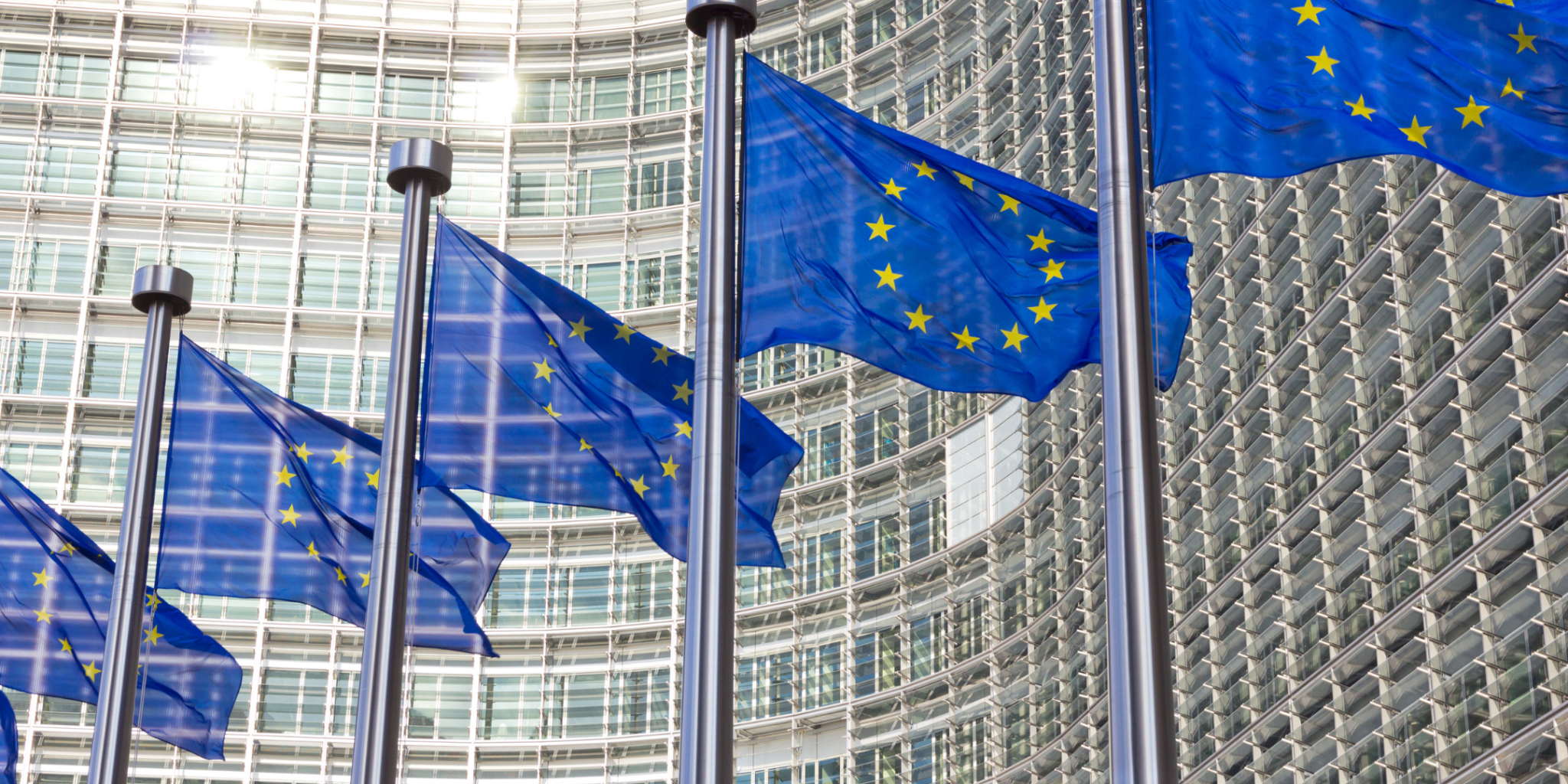Navigating the “blue ocean” of the EU Funding and Tenders Portal ...